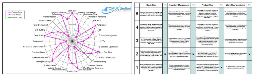 Lean Assessment Example | TCMUK Limited